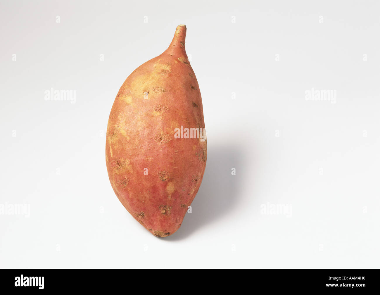 1 sweet potato hi-res stock photography and images - Alamy