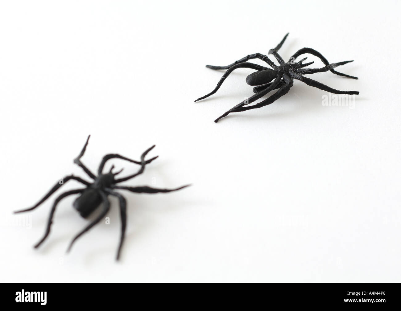 Toy plastic spider fake spiders hi-res stock photography and images - Alamy
