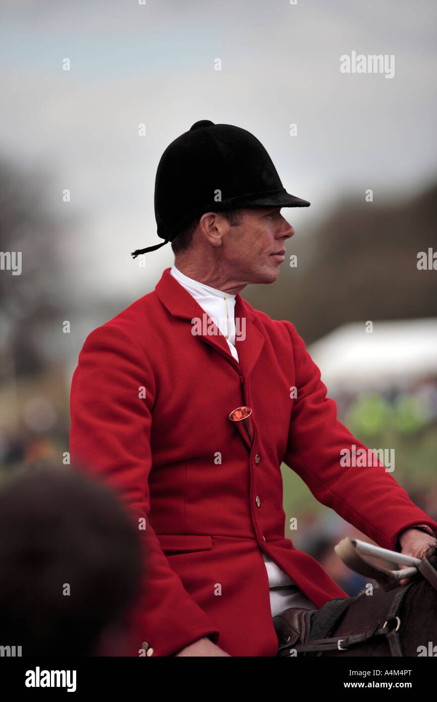 Huntsman in red, point to point Stock Photo - Alamy