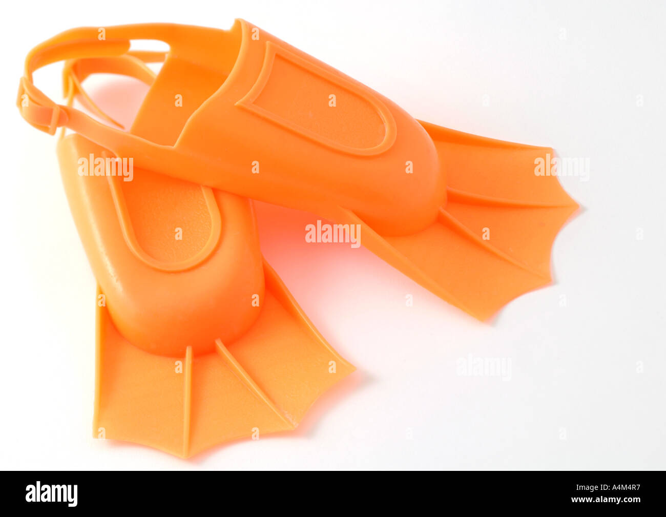 Flipper Flippers High Resolution Stock Photography and Images - Alamy