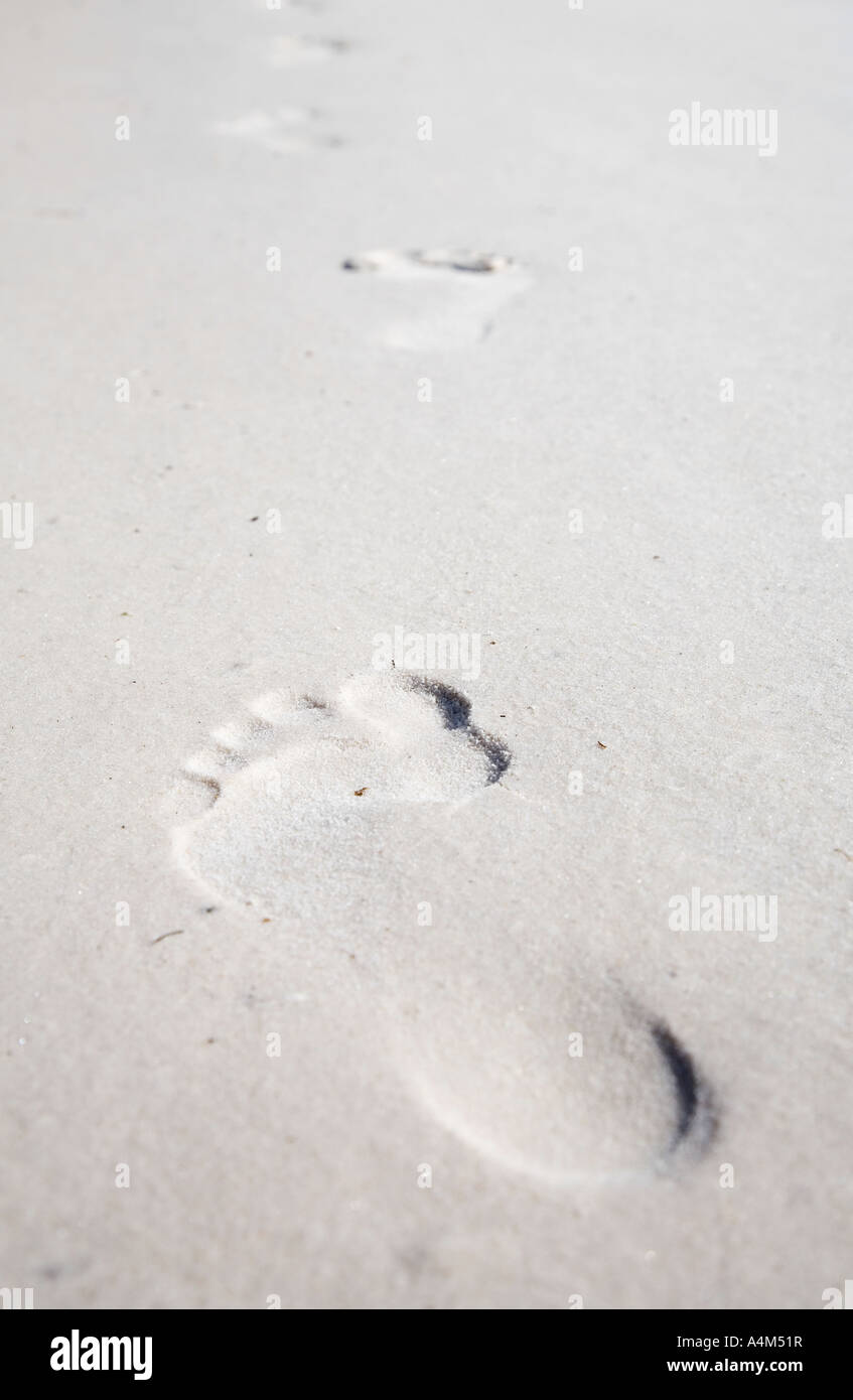 Footprints - Fraser Island, Queensland, AUSTRALIA Stock Photo - Alamy