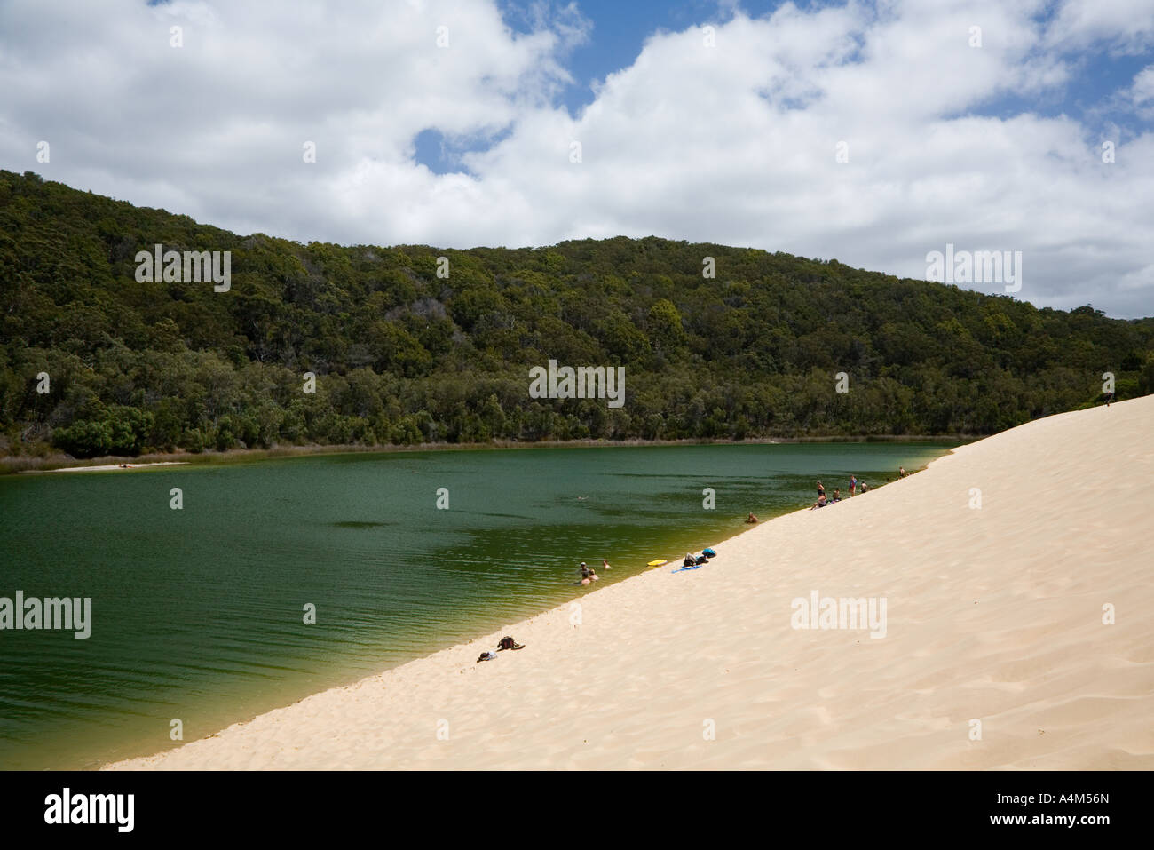 Lake Wabby - Fraser Island, Queensland, AUSTRALIA Stock Photo - Alamy