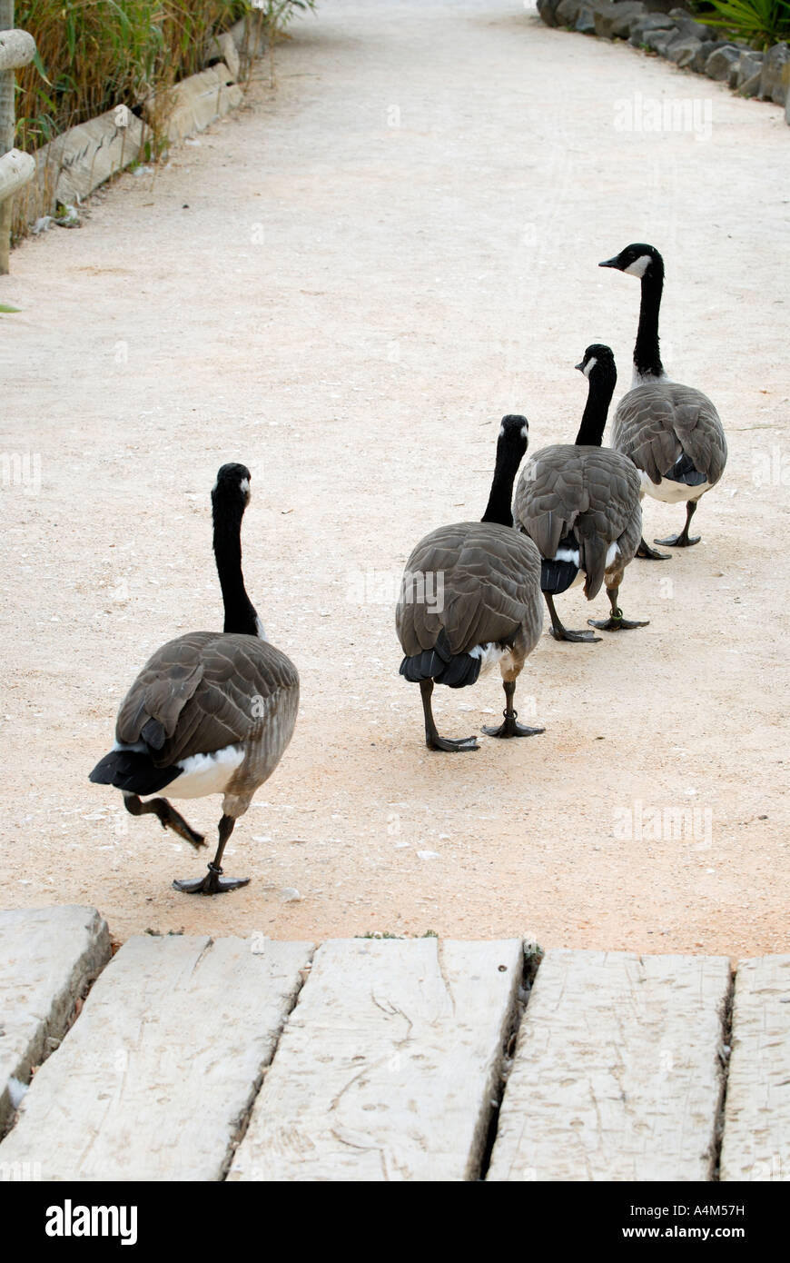 Lagos canadá hi-res stock photography and images - Alamy
