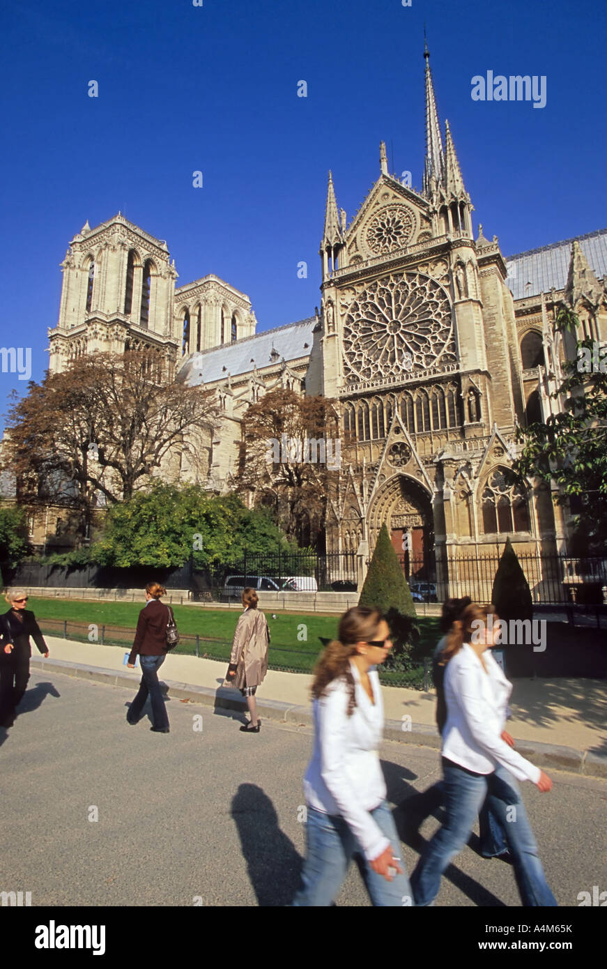 Southern side of Notre Dame cathedral Paris on the Ile de la Cite ...
