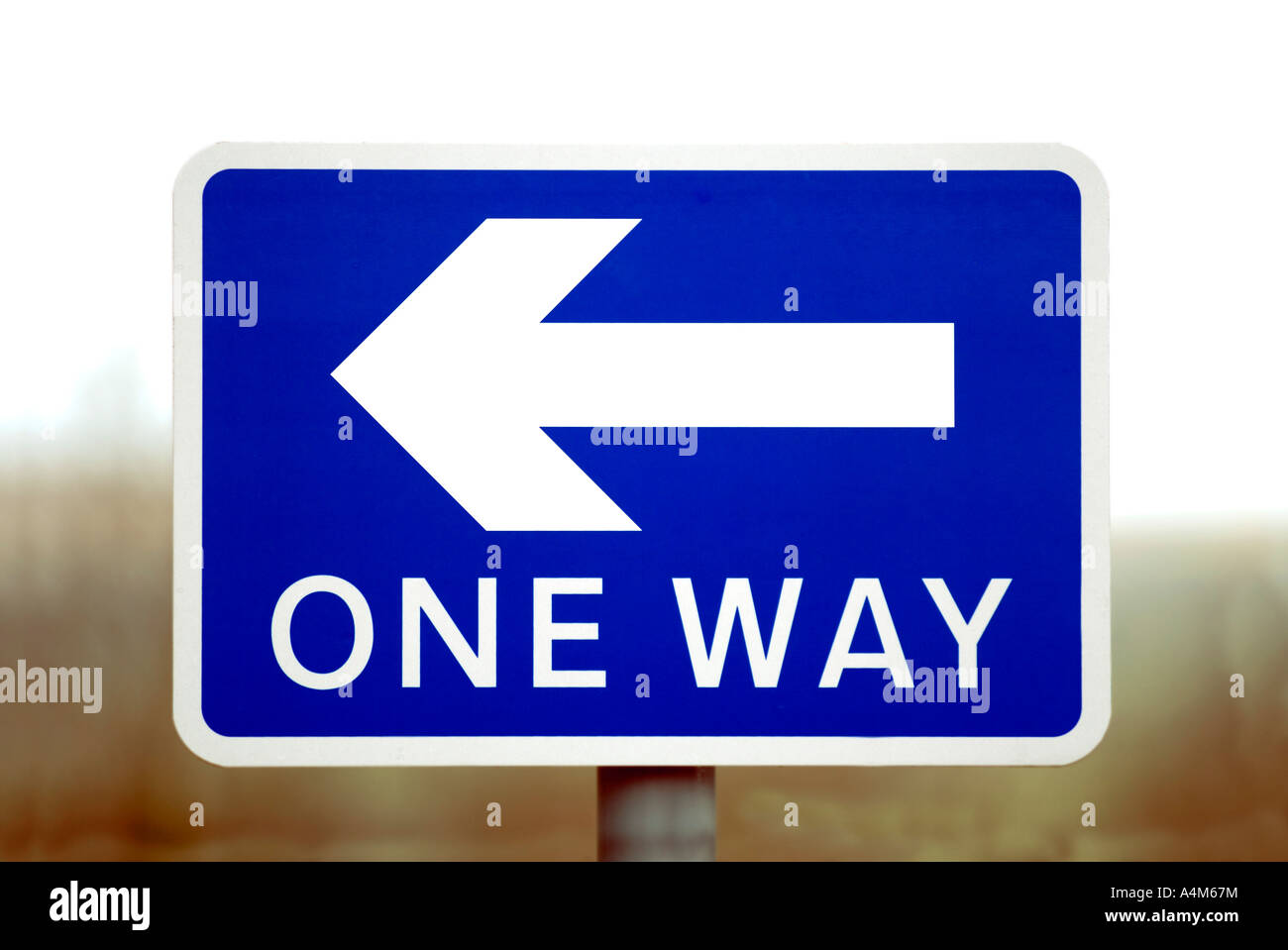 One Way sign in blue and white Stock Photo - Alamy
