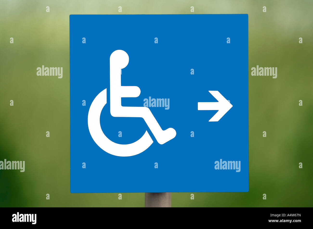 Close up of a Blue disabled sign Stock Photo - Alamy