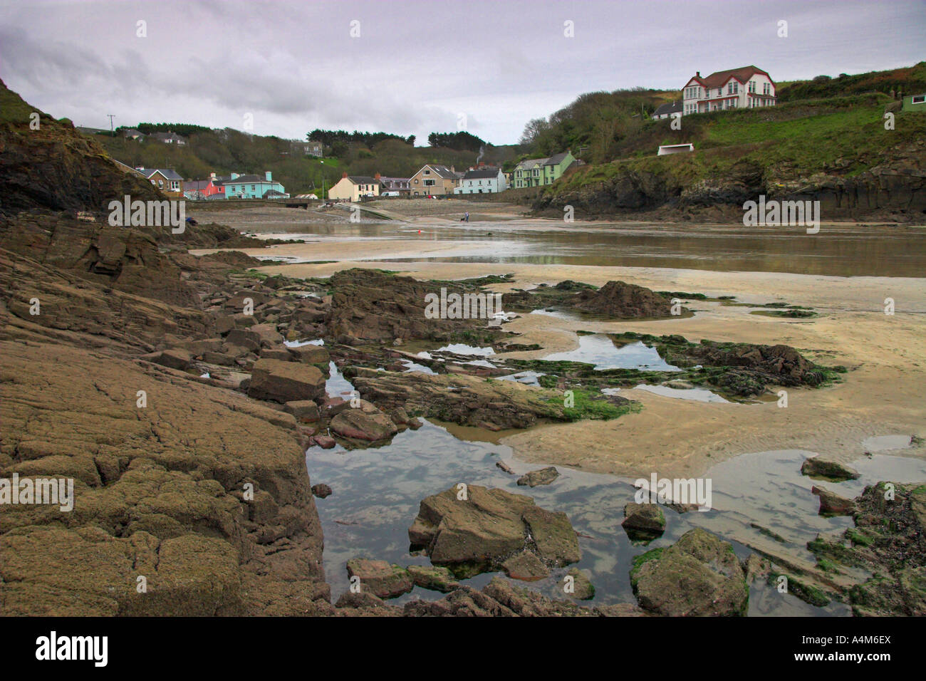 Little Haven, Pembrokeshire, Wales, UK Stock Photo - Alamy