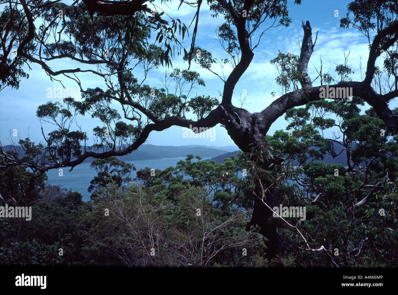 Kuringgai national park hi-res stock photography and images - Alamy