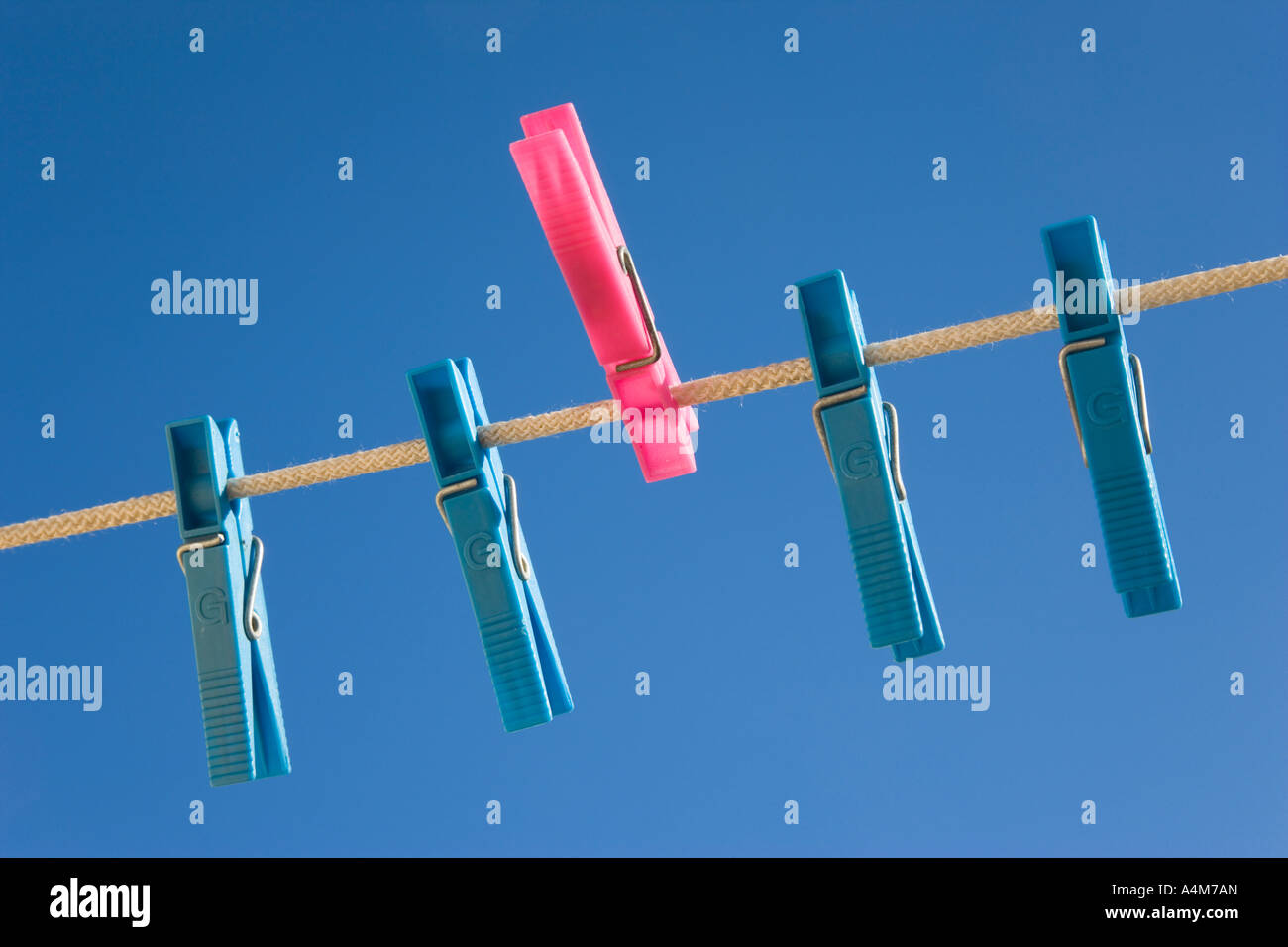 Pegs on a washing line One different to the others Stock Photo - Alamy