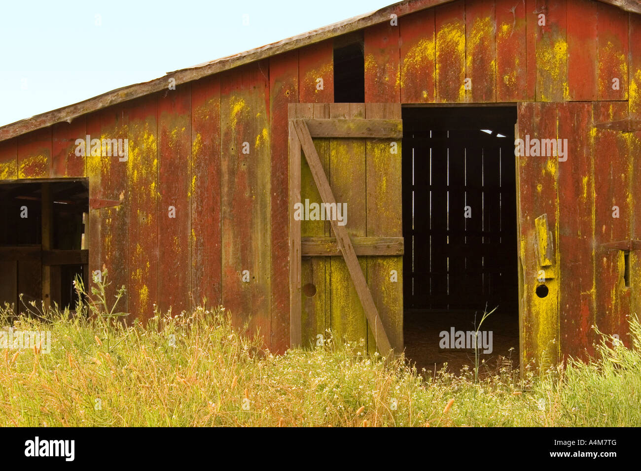 A weathered and faded old red barn with a slanted roof Stock Photo - Alamy
