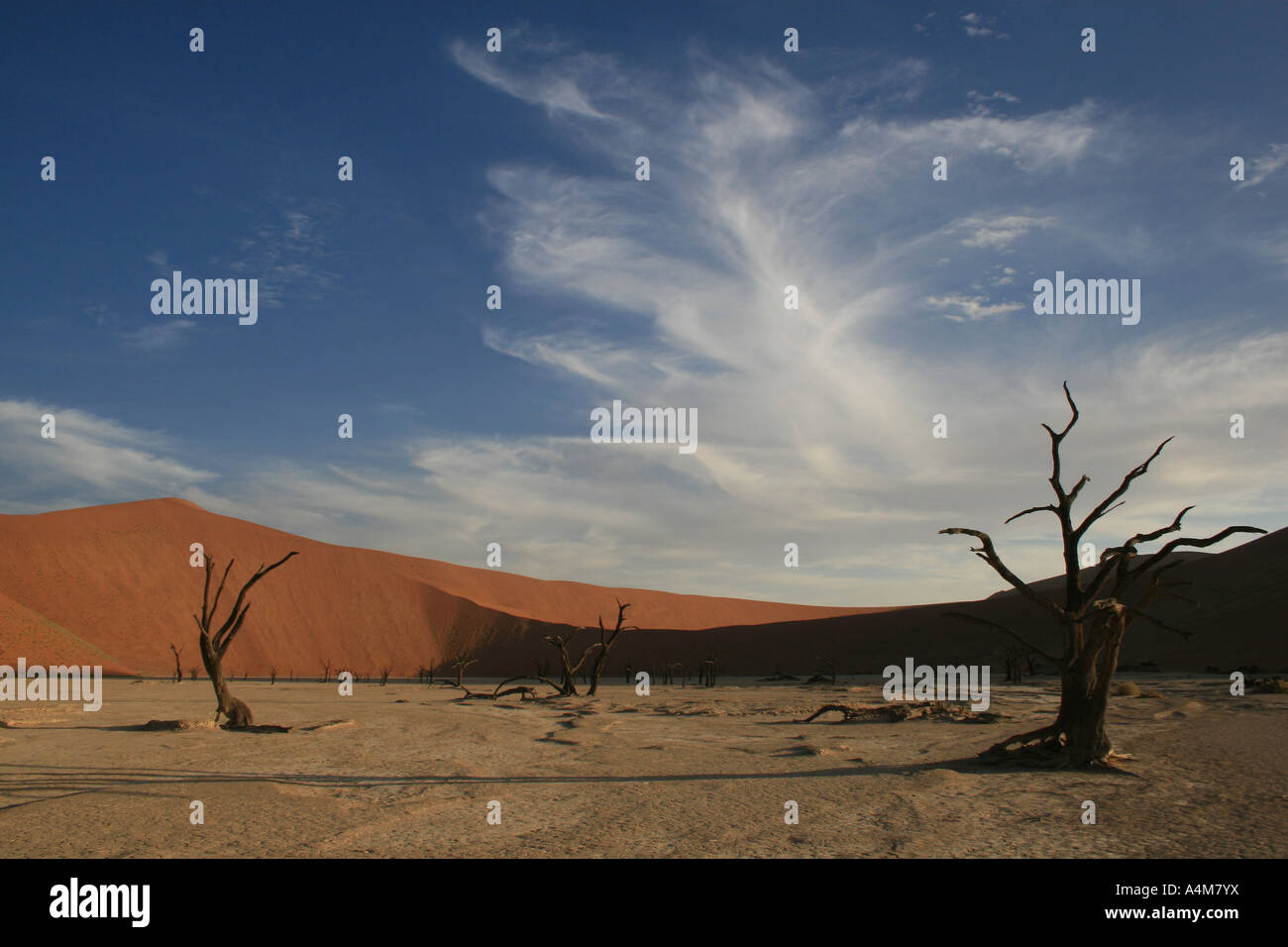 Landscape of dead trees at Deadvlei, the eerie flat pan surrounded by ...