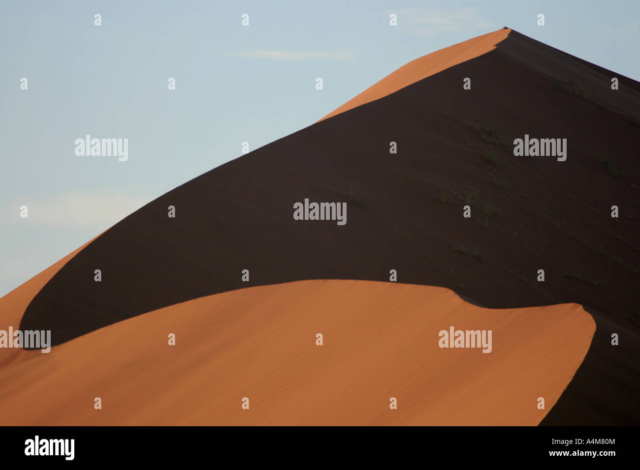 Close-up of a giant dune's sinuous ridge in the Namib Desert at ...