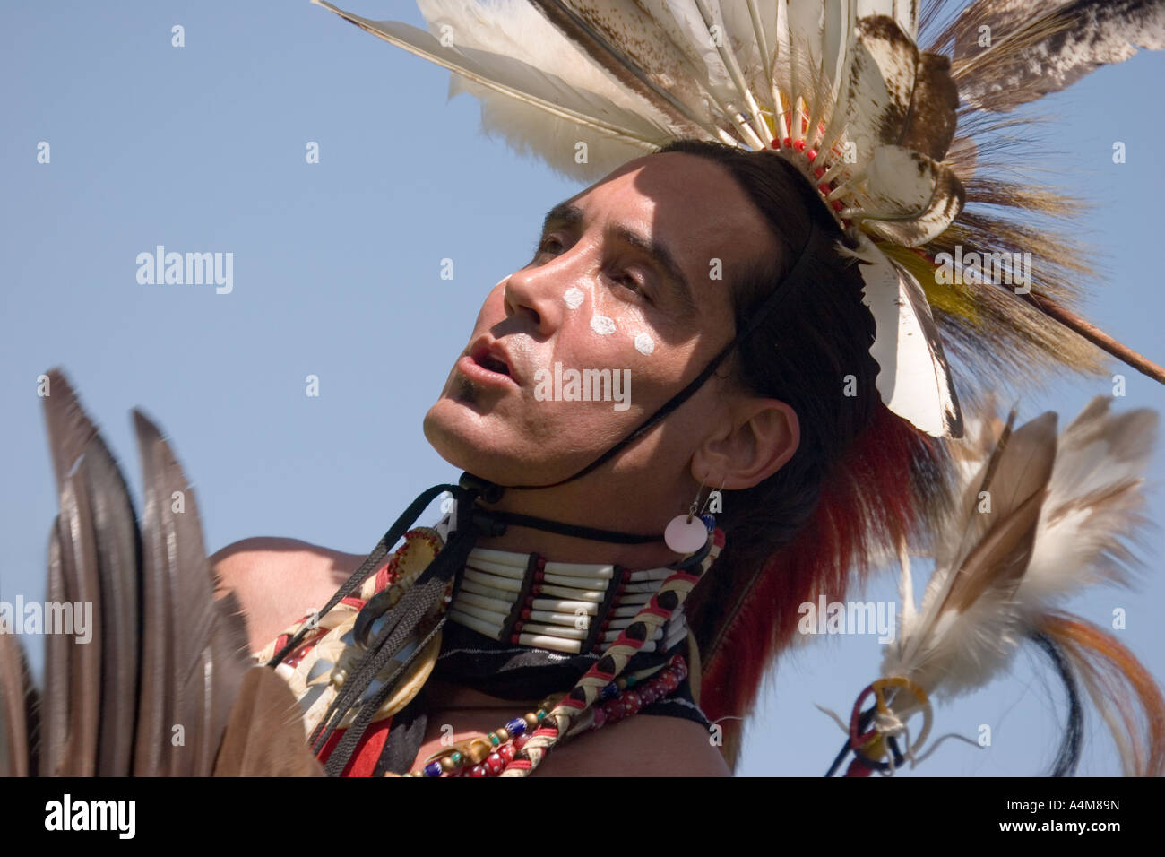A handsome native American wearing full regalia Stock Photo - Alamy