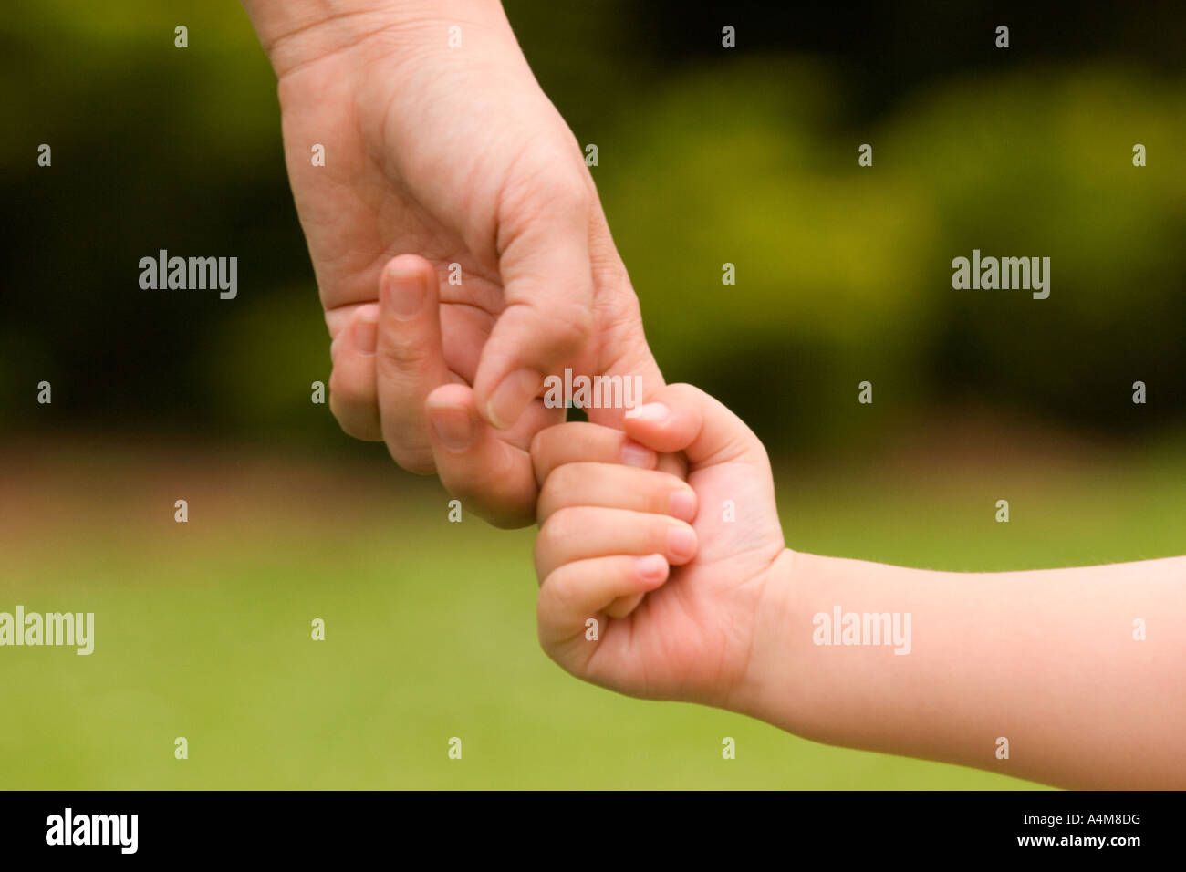A child clasping the finger of her mother's hand Stock Photo - Alamy