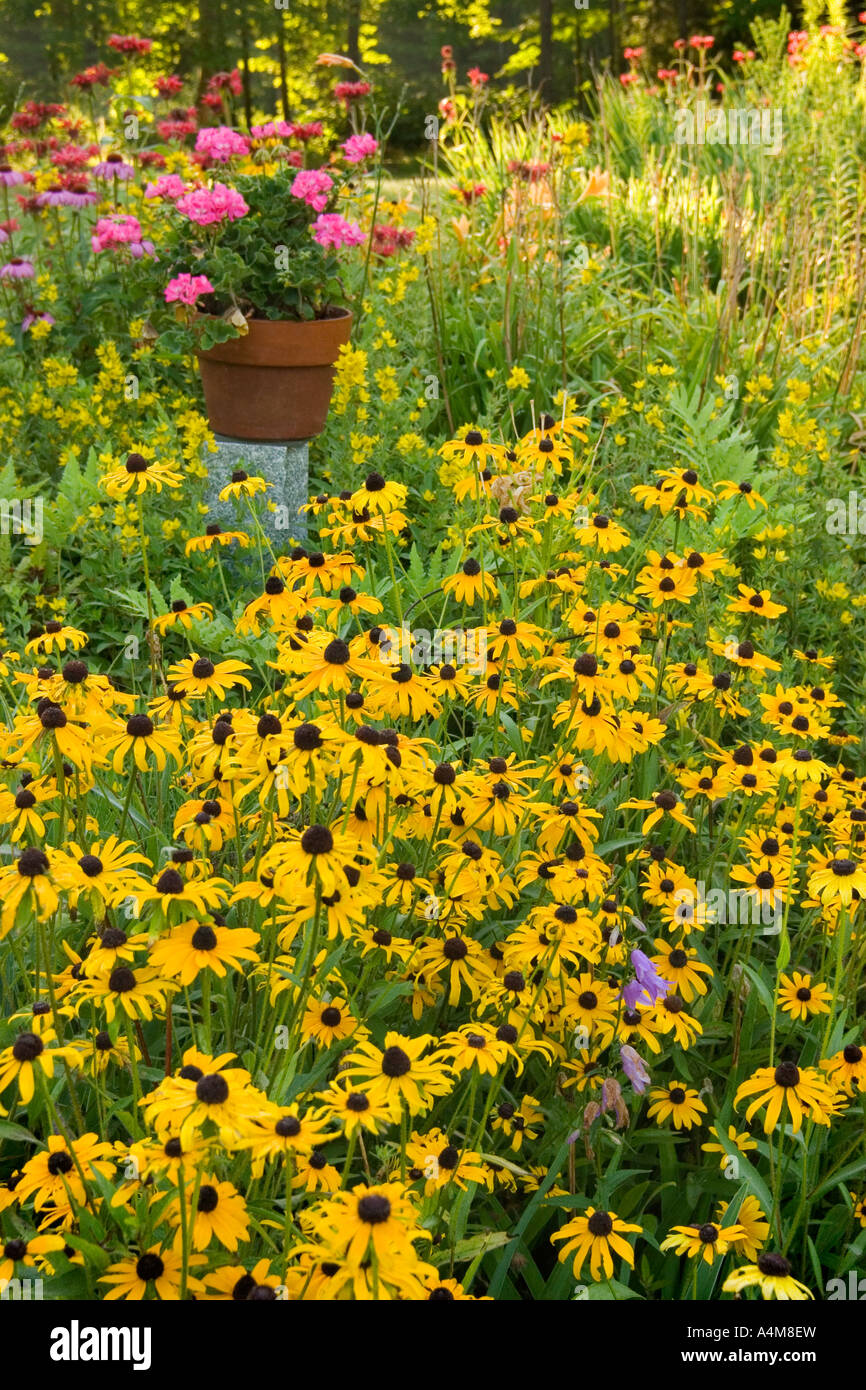 A beautiful country flower garden Stock Photo - Alamy