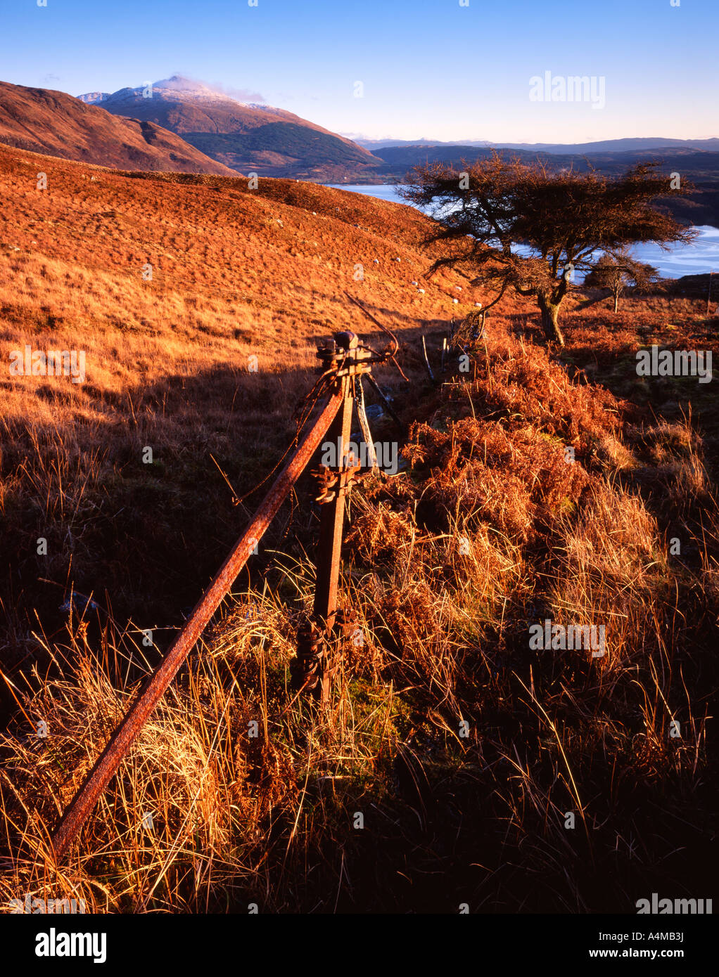 Ardchattan priory scotland hi-res stock photography and images - Alamy