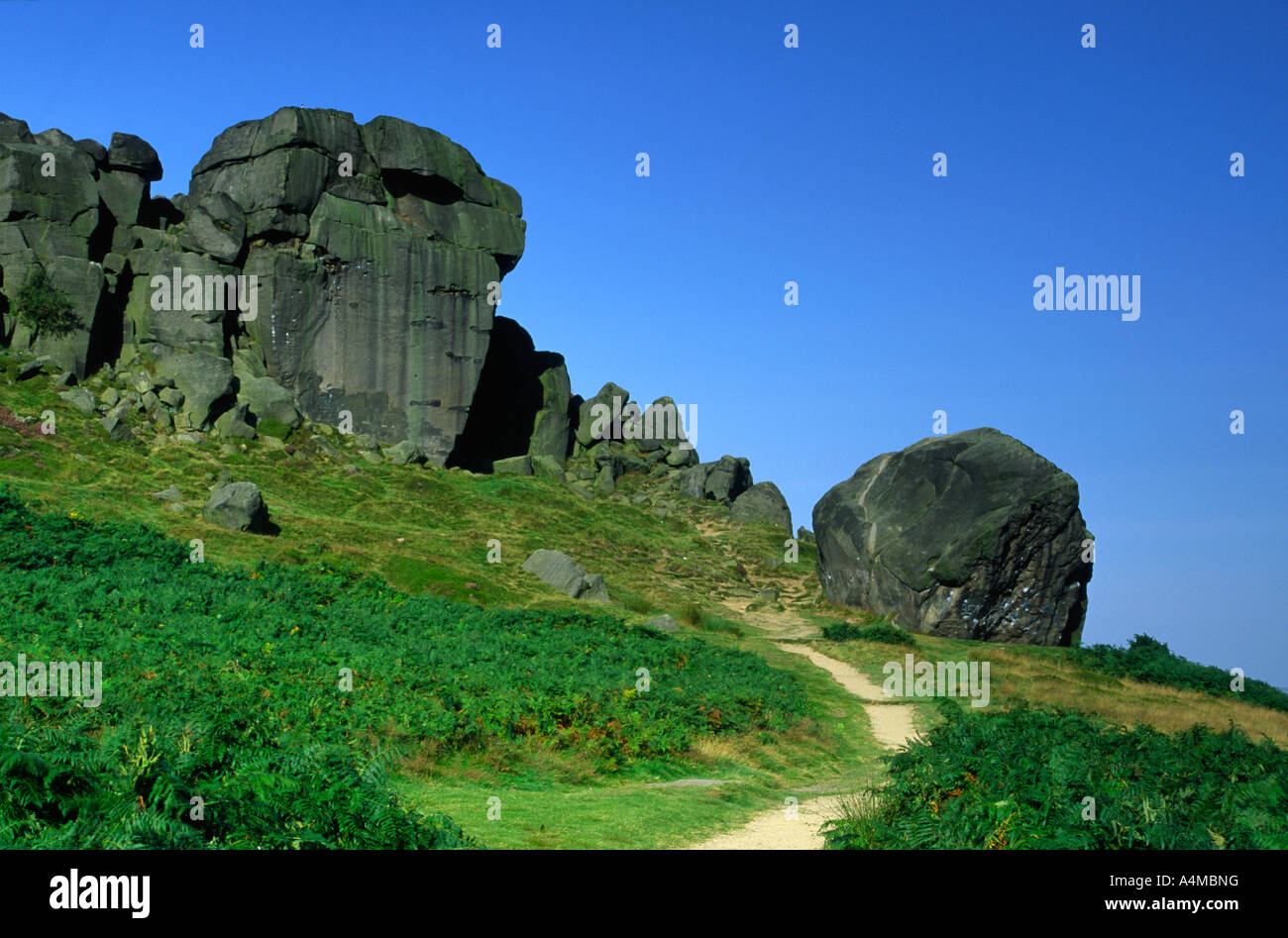 The Cow and Calf Rocks, Ilkley Moor, West Yorkshire Stock Photo ...