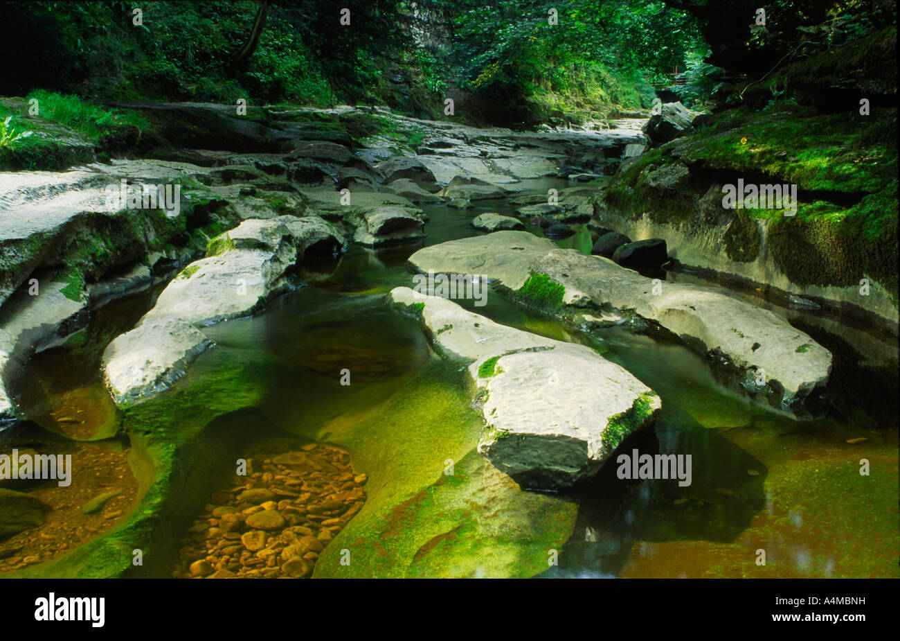 How Stean Gorge, Nidderdale, North Yorkshire Stock Photo - Alamy
