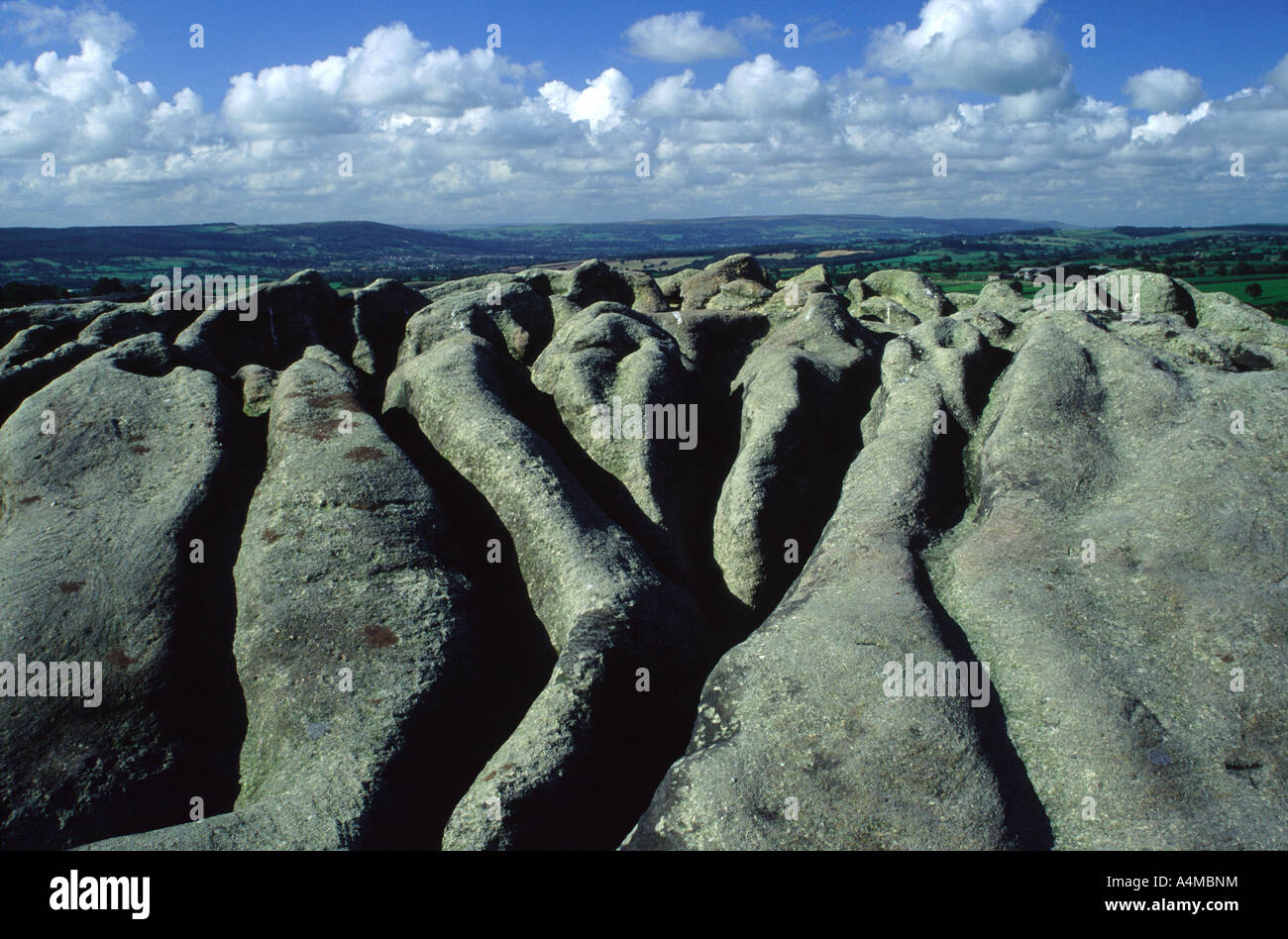 Weathered millstone grit at Almsciffe Crag, Wharfedale, West Yorkshire ...
