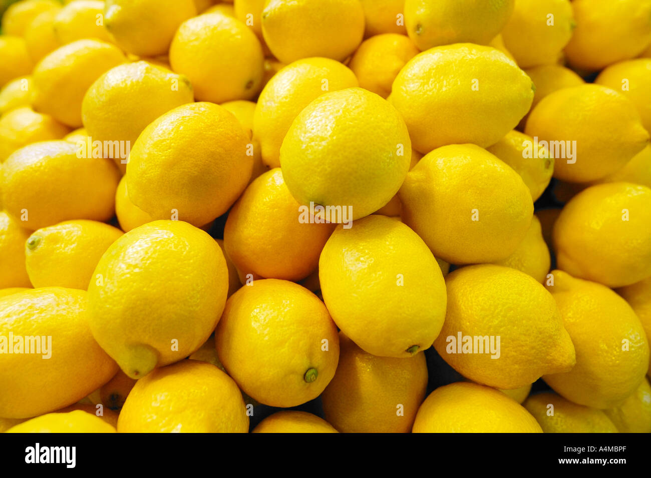 Bunch of lemons Stock Photo - Alamy