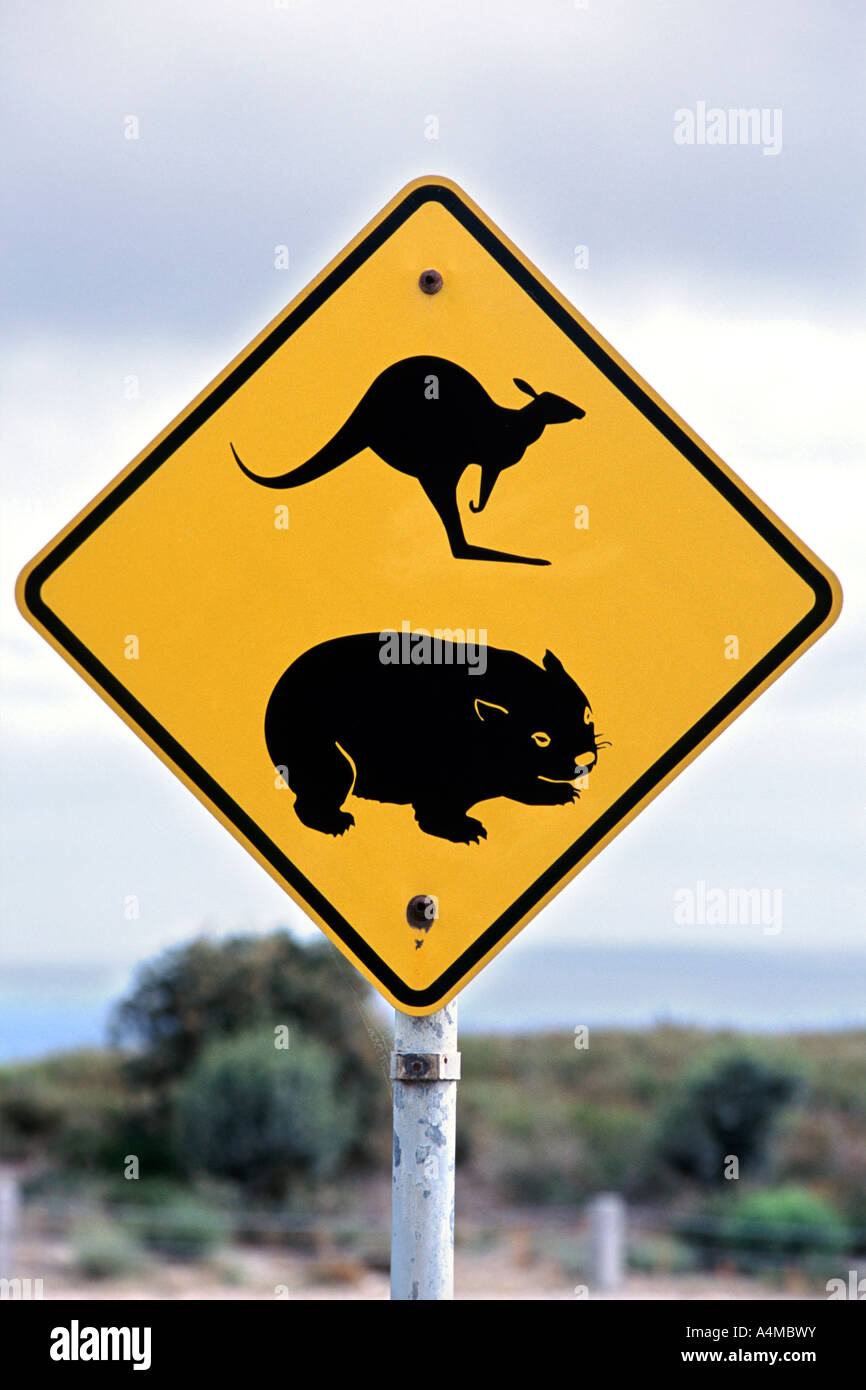 Wombat warning sign hi-res stock photography and images - Alamy