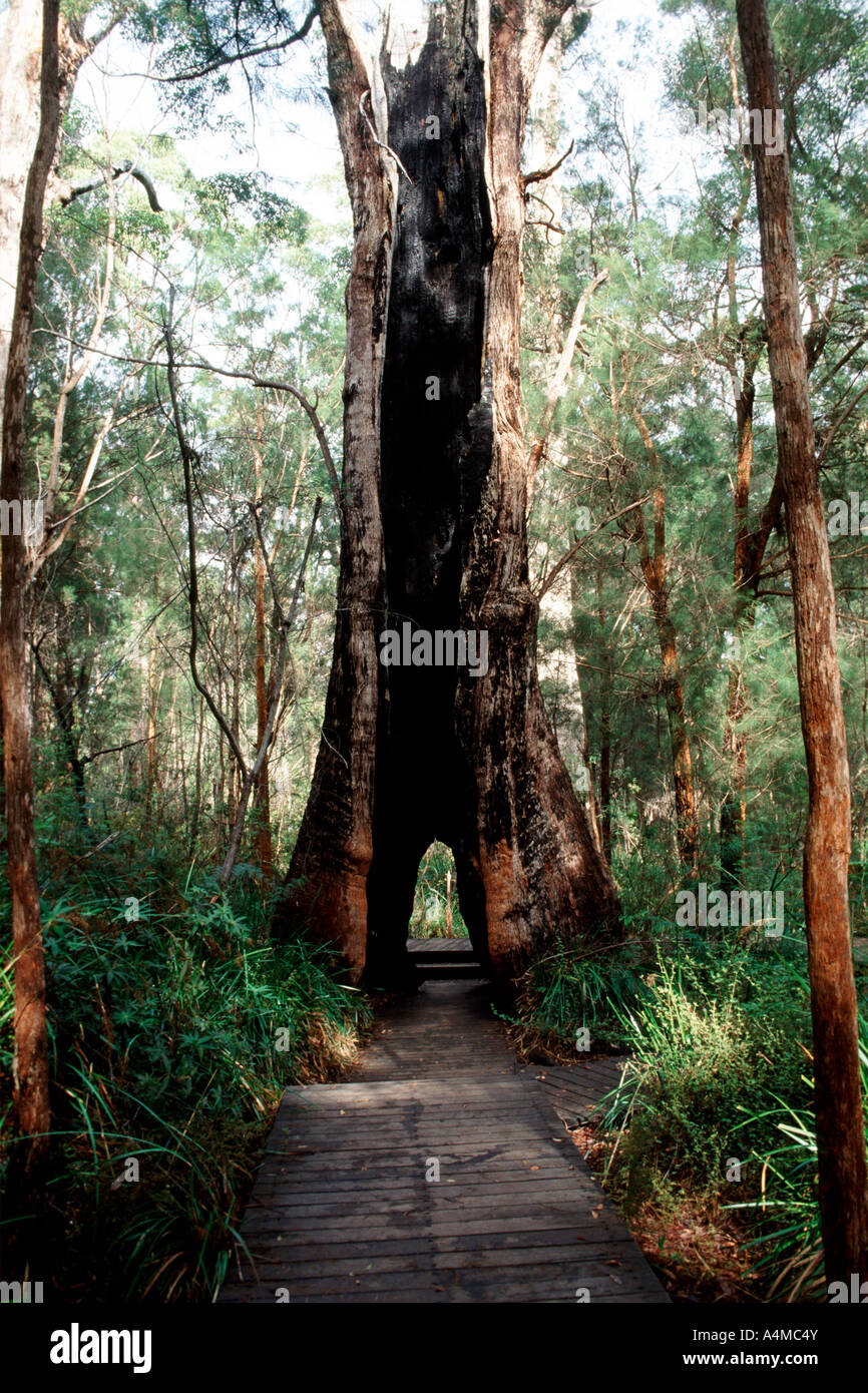 Walpole park hi-res stock photography and images - Alamy