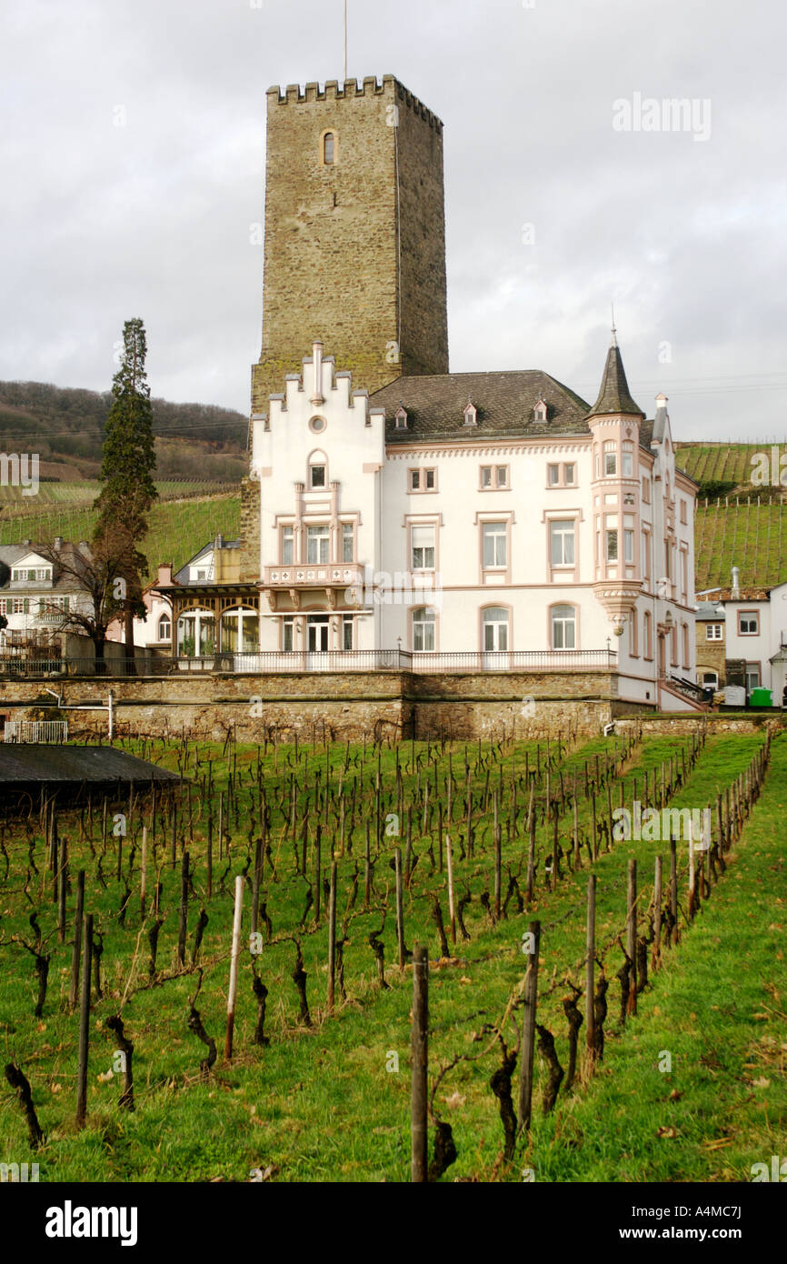 Schloss Boosenburg castle in Rüdesheim am Rhine in Germany's Hessen ...