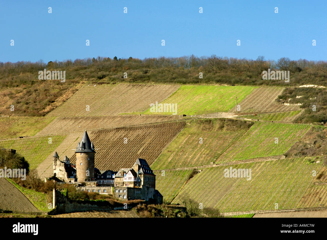 Burg Stahleck castle on the bank of the river Rhine in the Lorelei ...