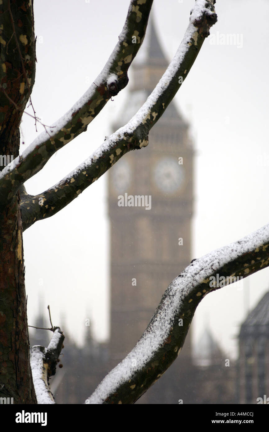 Big Ben seen through snow-covered tree branches in London Stock Photo ...