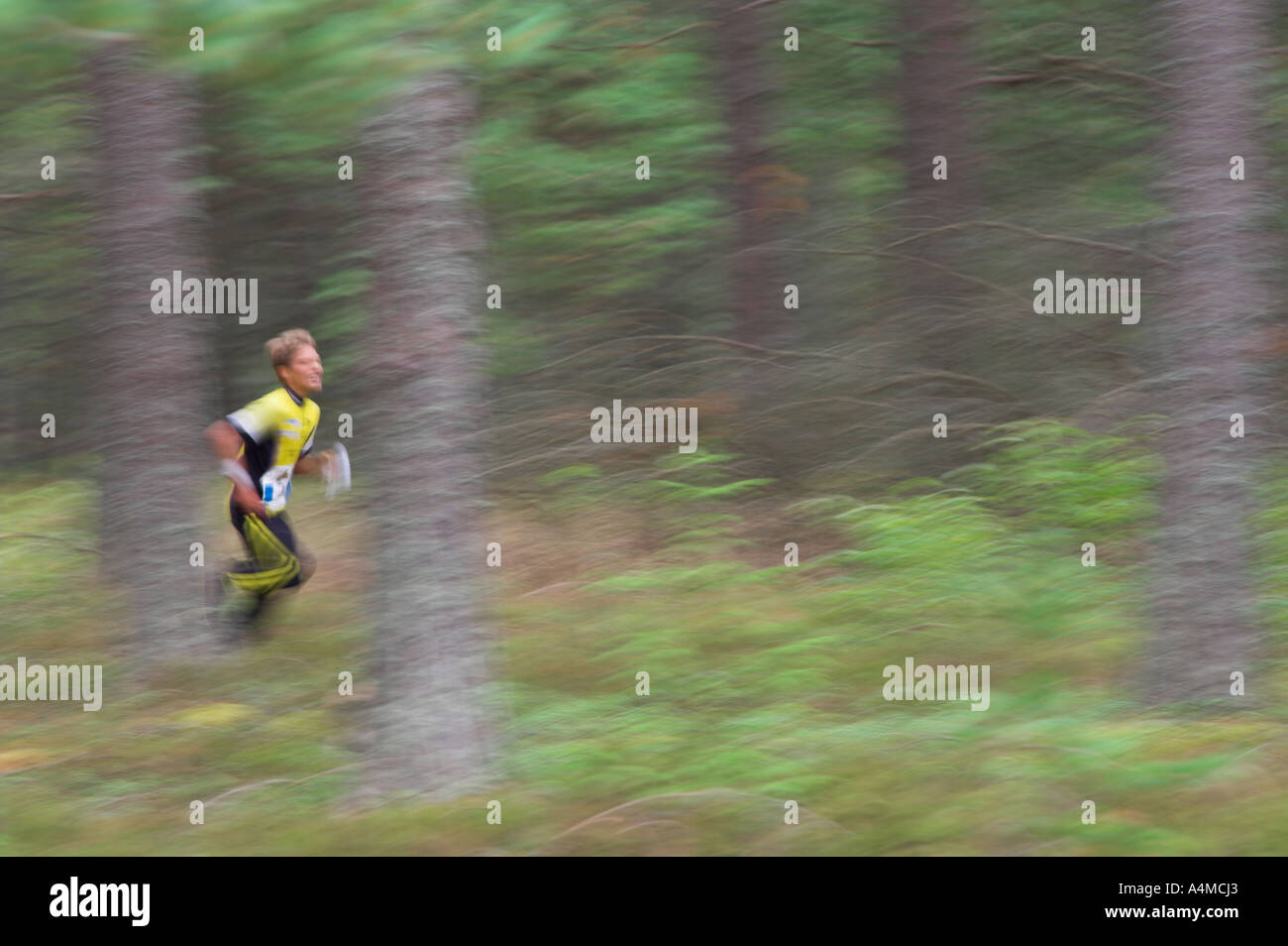 Orienteering. O-ringen, Sweden Stock Photo - Alamy