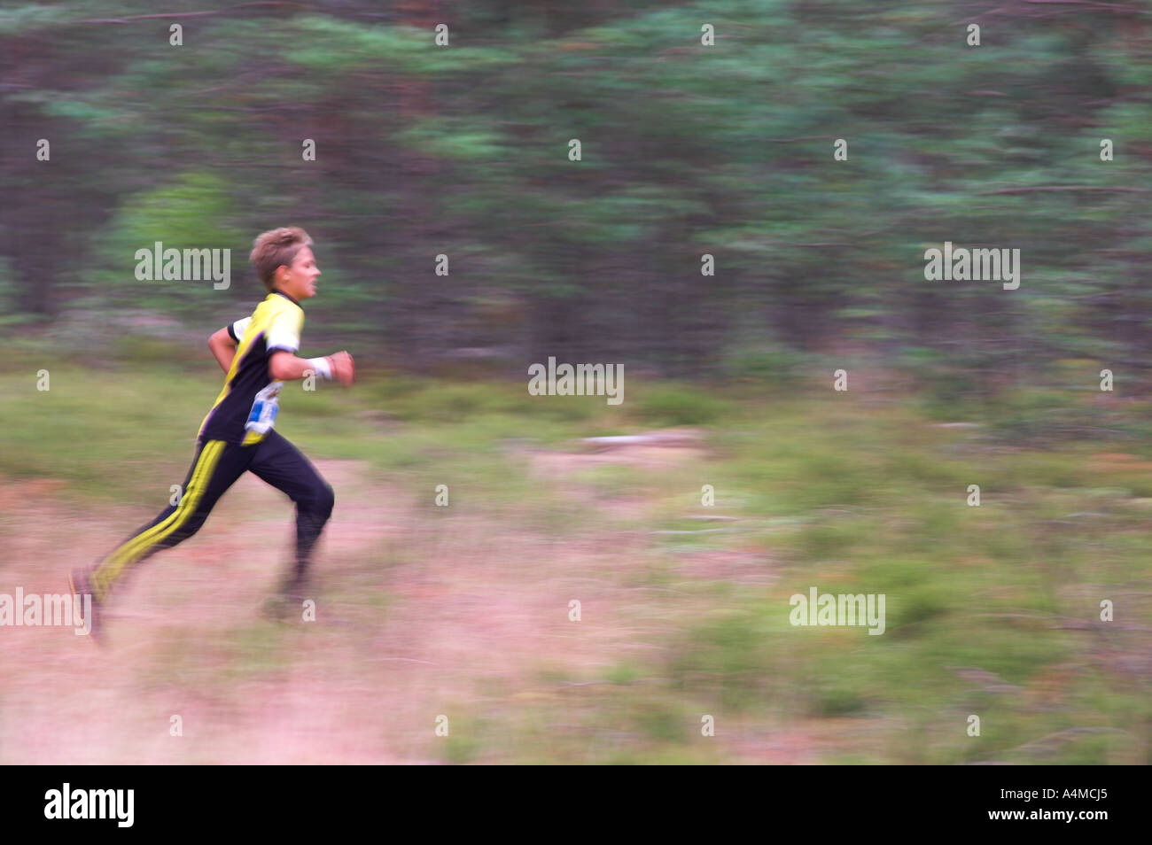 Orienteering o ringen hi-res stock photography and images - Alamy