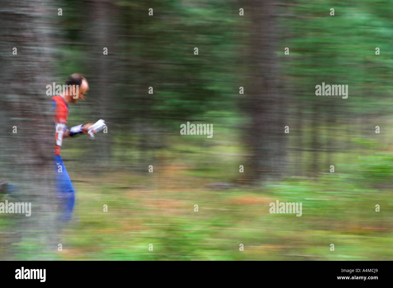 Orienteering o ringen hi-res stock photography and images - Alamy