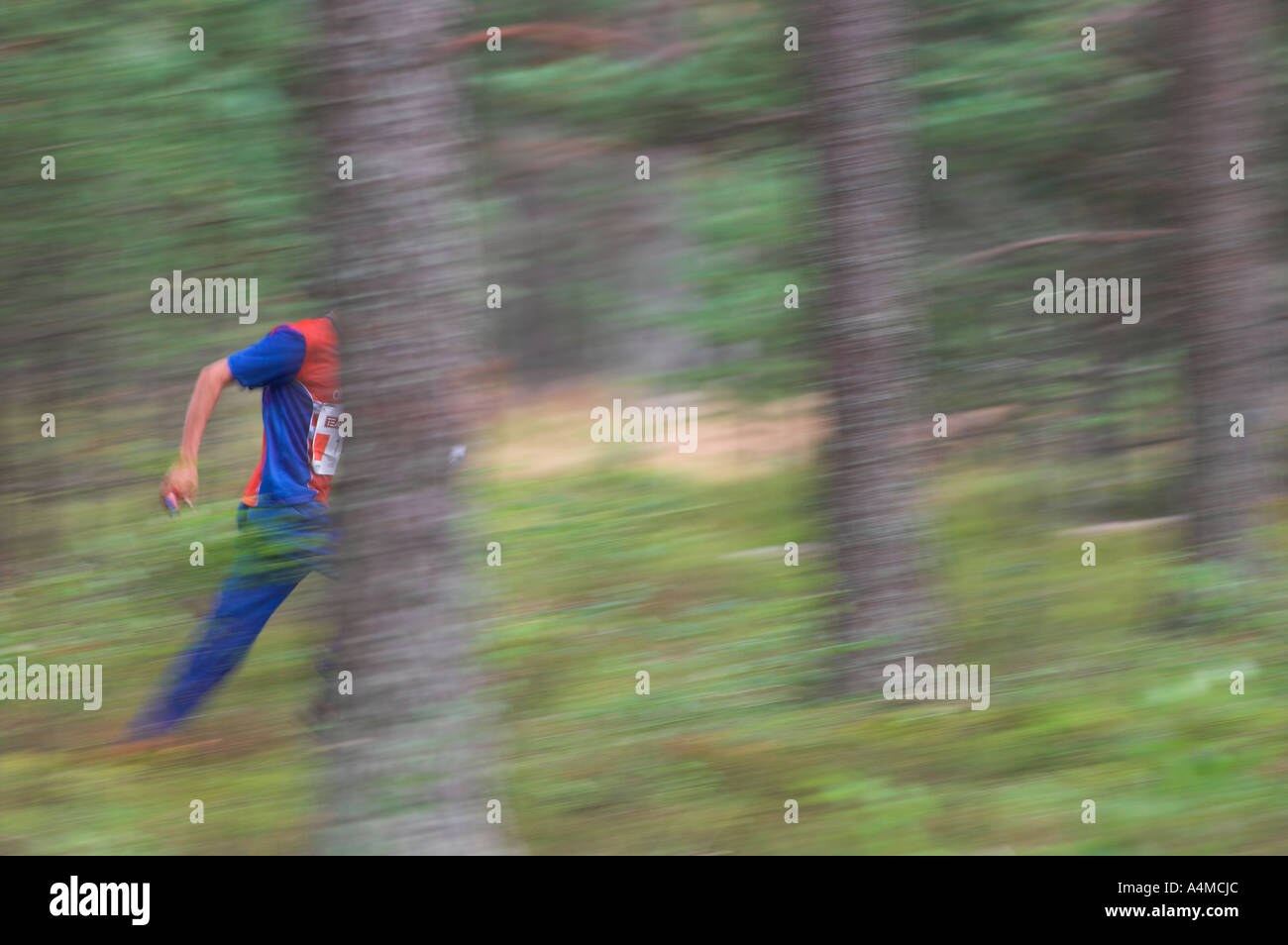 Orienteering. O-ringen, Sweden Stock Photo - Alamy