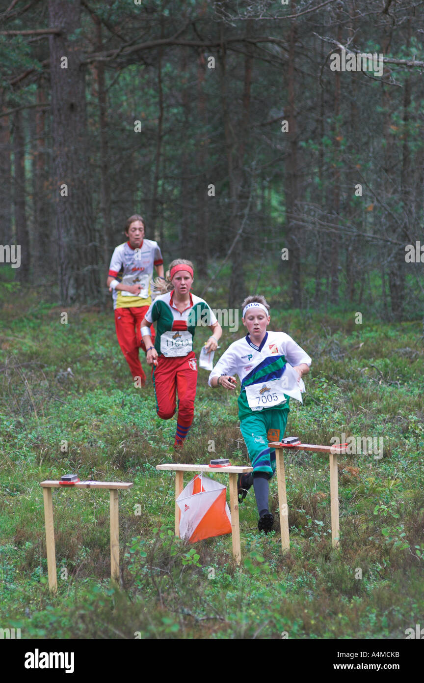 Orienteering flag hi-res stock photography and images - Alamy