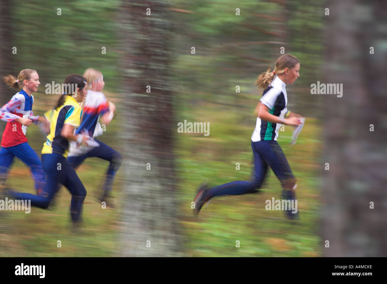 Orienteering o ringen hi-res stock photography and images - Alamy