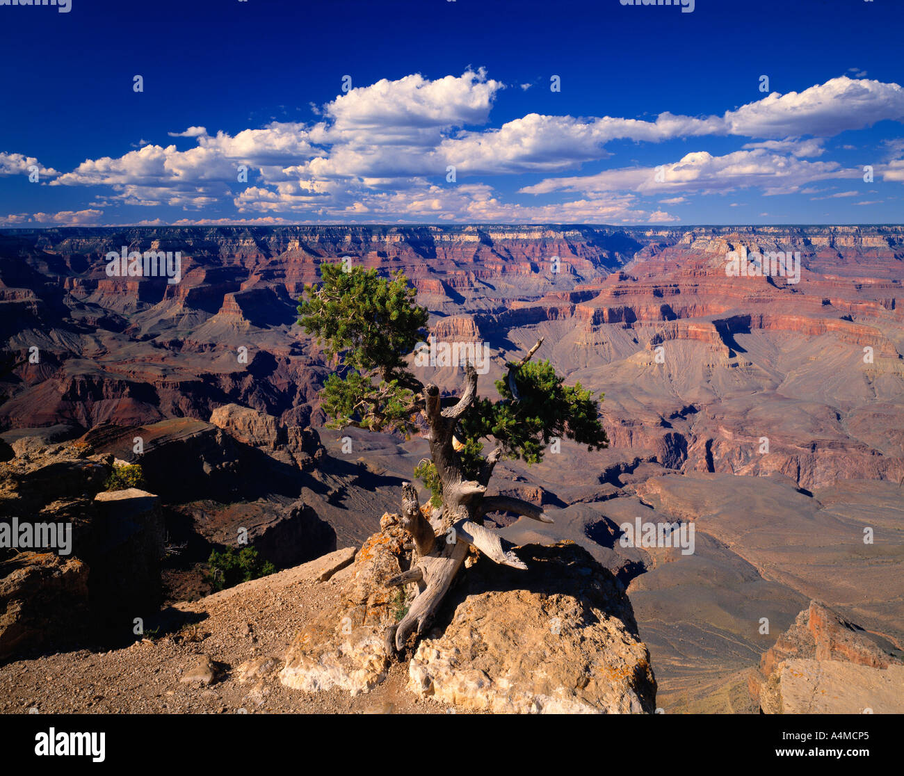 A scenic canyon Stock Photo - Alamy