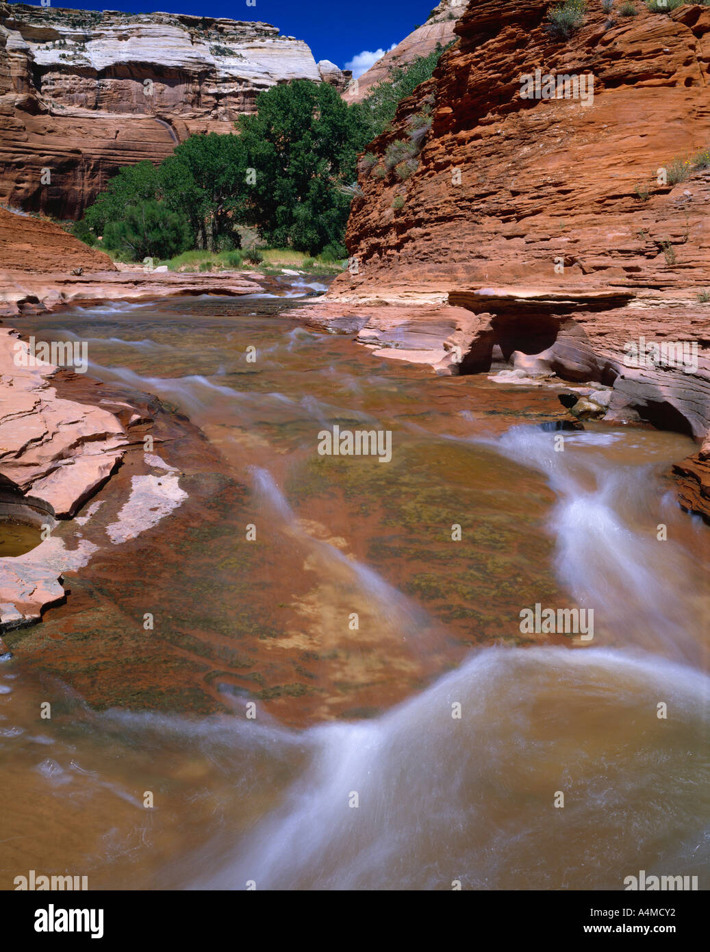 River flowing over redrocks Canyon del Muerto Canyon de Chelly National ...