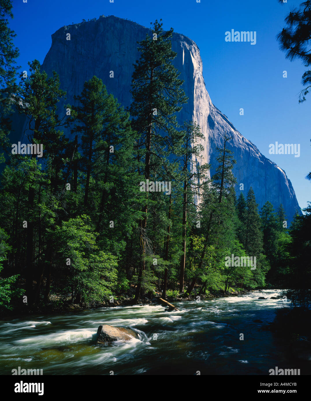 El capitan is vertical rock formation in yosemite national park hi-res ...