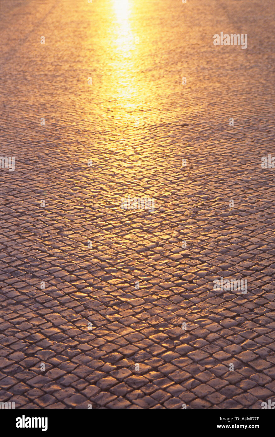 COBBLESTONE ROAD AT SUNSET Stock Photo - Alamy