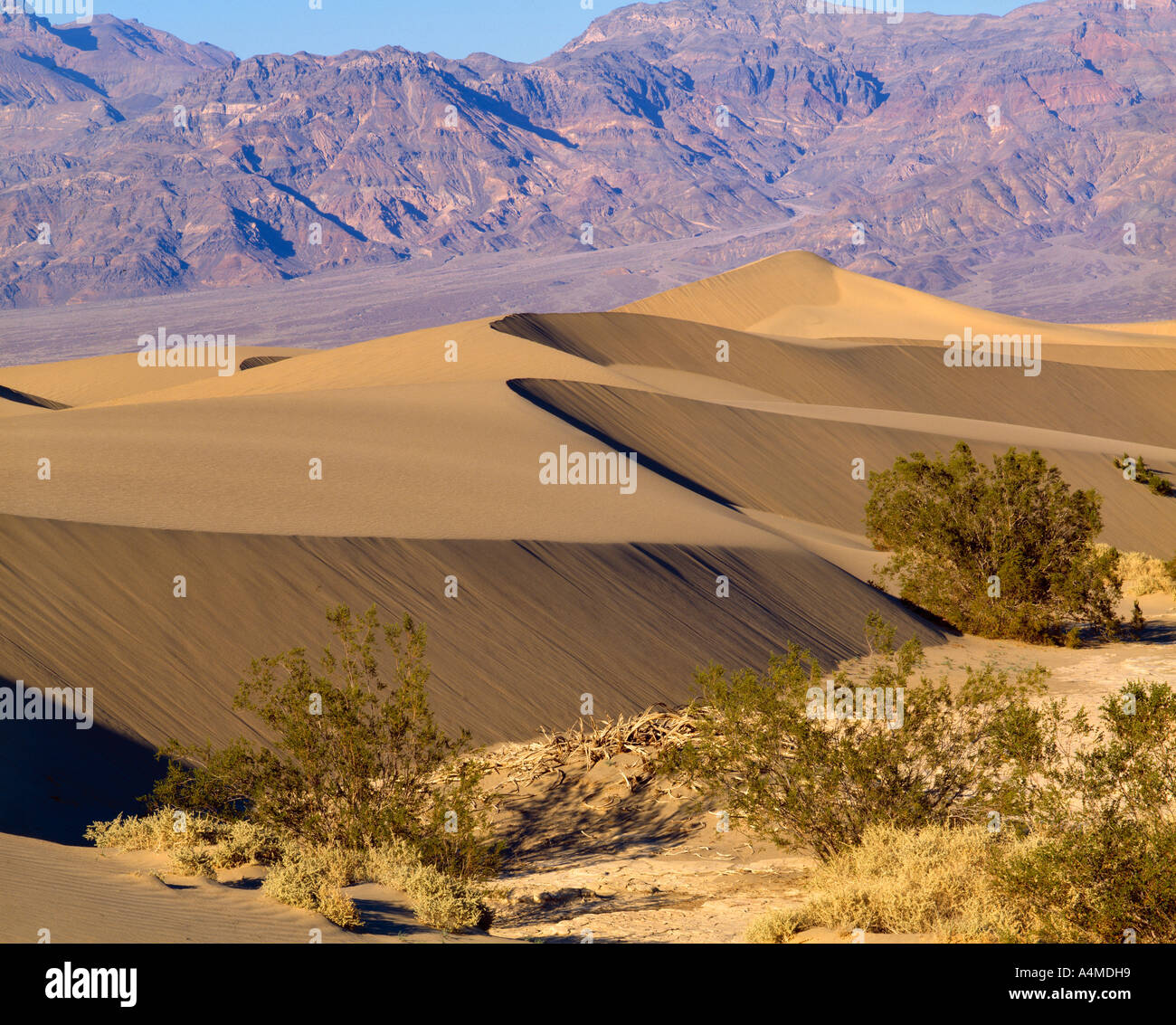 Sand dunes through desert landscape, Great Sand Dunes National Monument ...