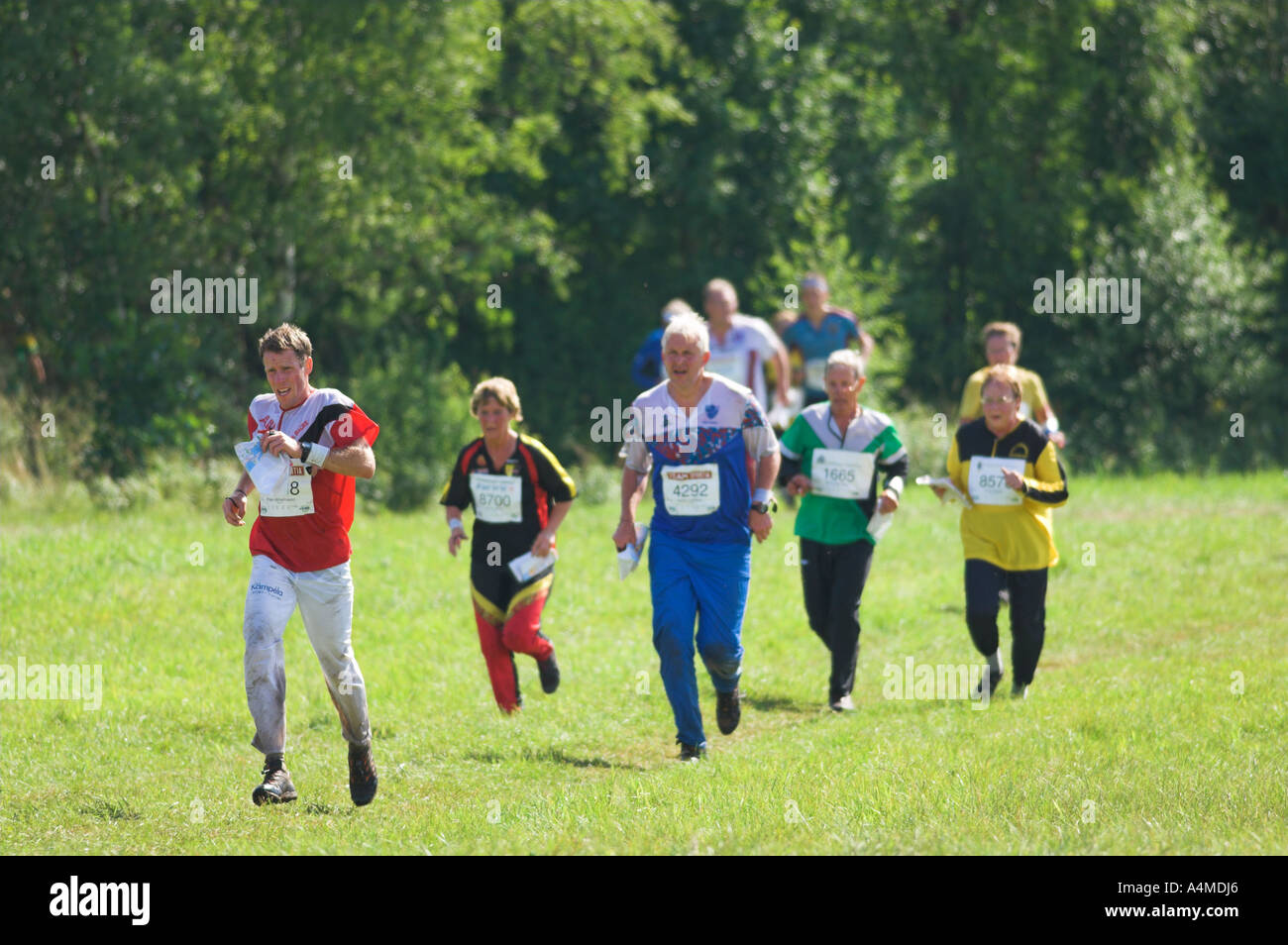 Orienteering o ringen hi-res stock photography and images - Alamy