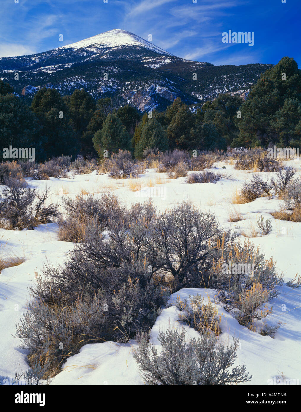 Great basin nevada winter hi-res stock photography and images - Alamy