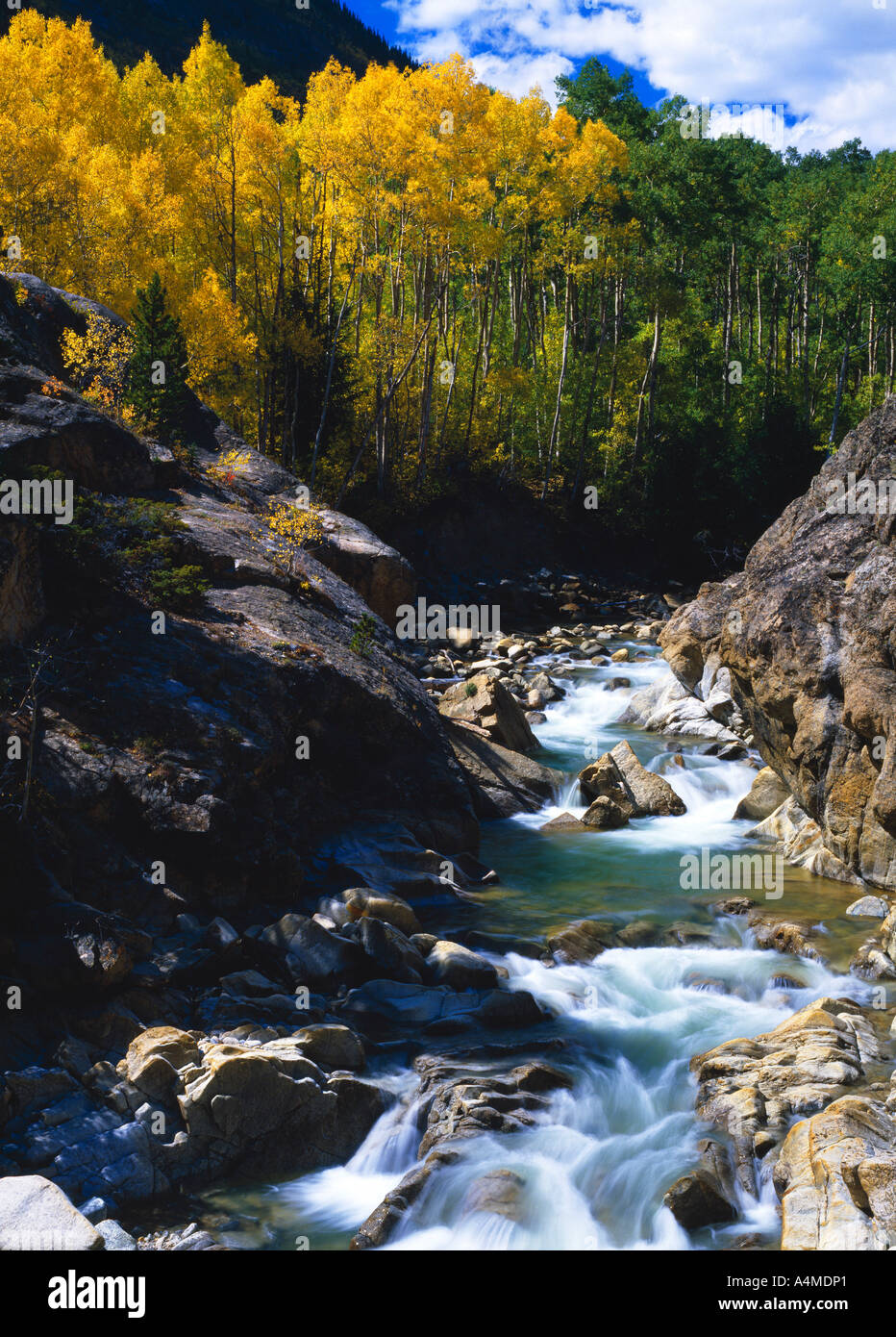Aspen brooks hi-res stock photography and images - Alamy