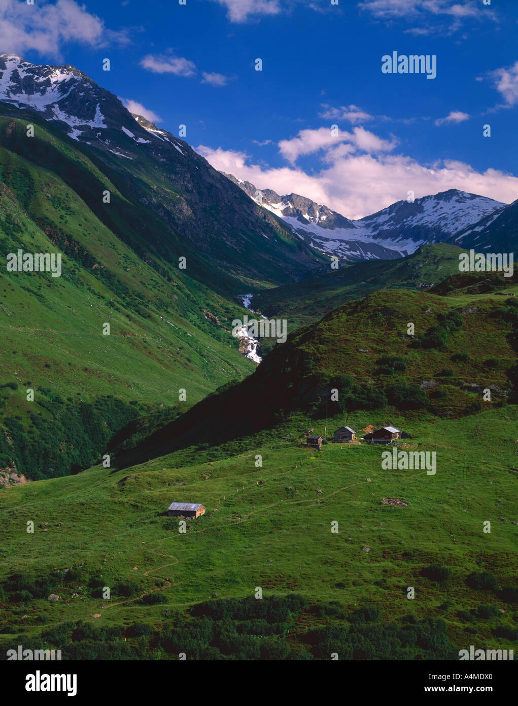 Farm in the valley with Swiss Alps in background Stock Photo - Alamy