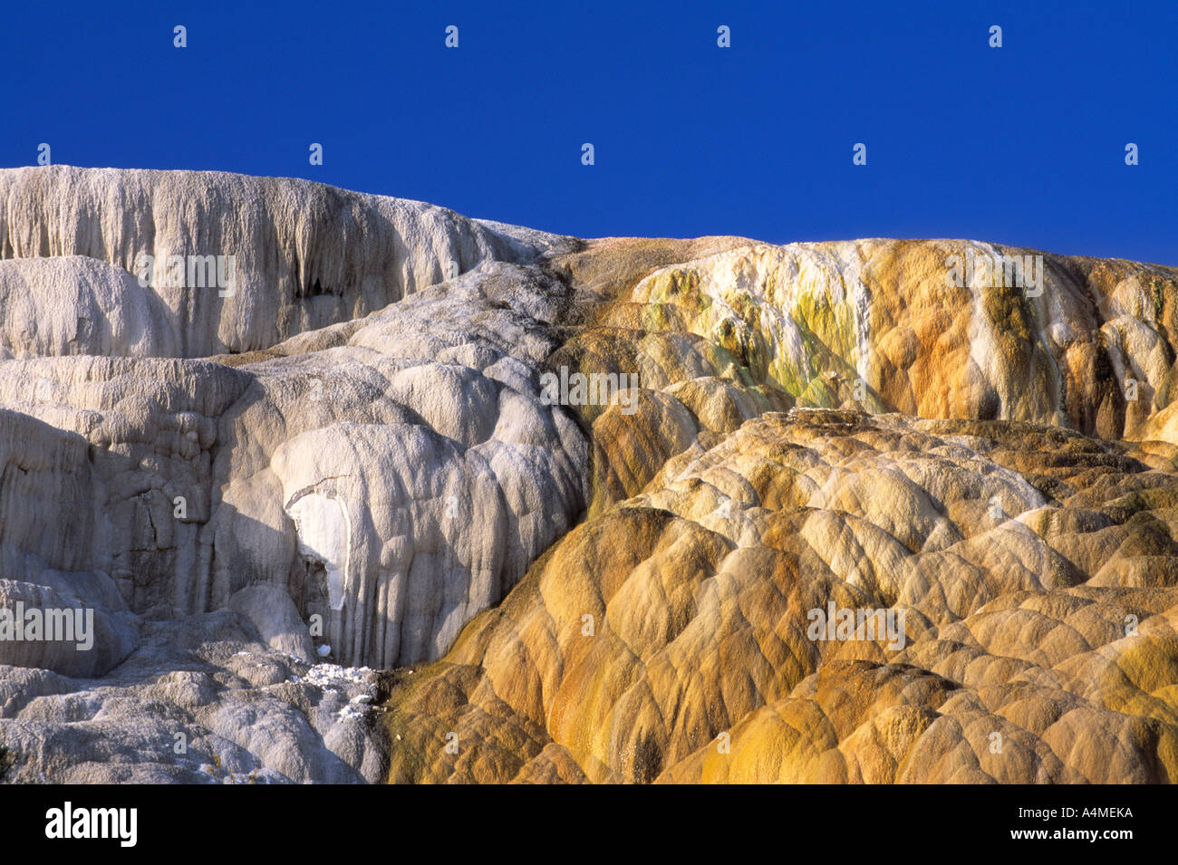 Cleopatra spring hi-res stock photography and images - Alamy