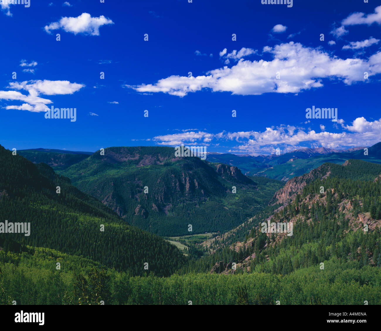 Rio grande national forests hi-res stock photography and images - Alamy