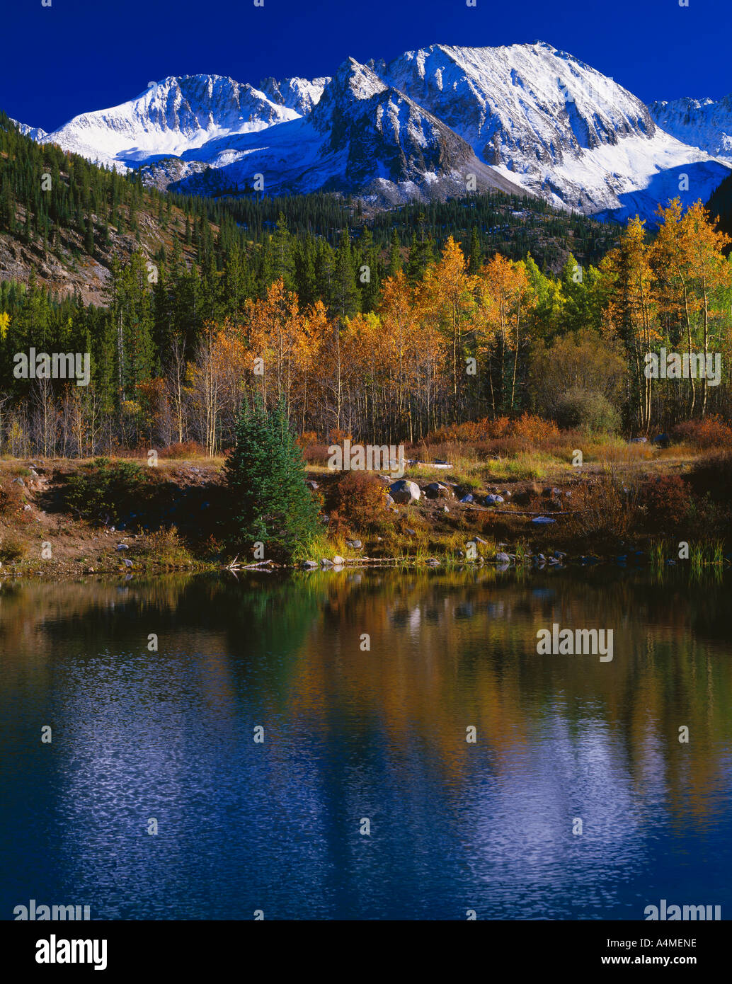 Castle creek valley colorado hi-res stock photography and images - Alamy
