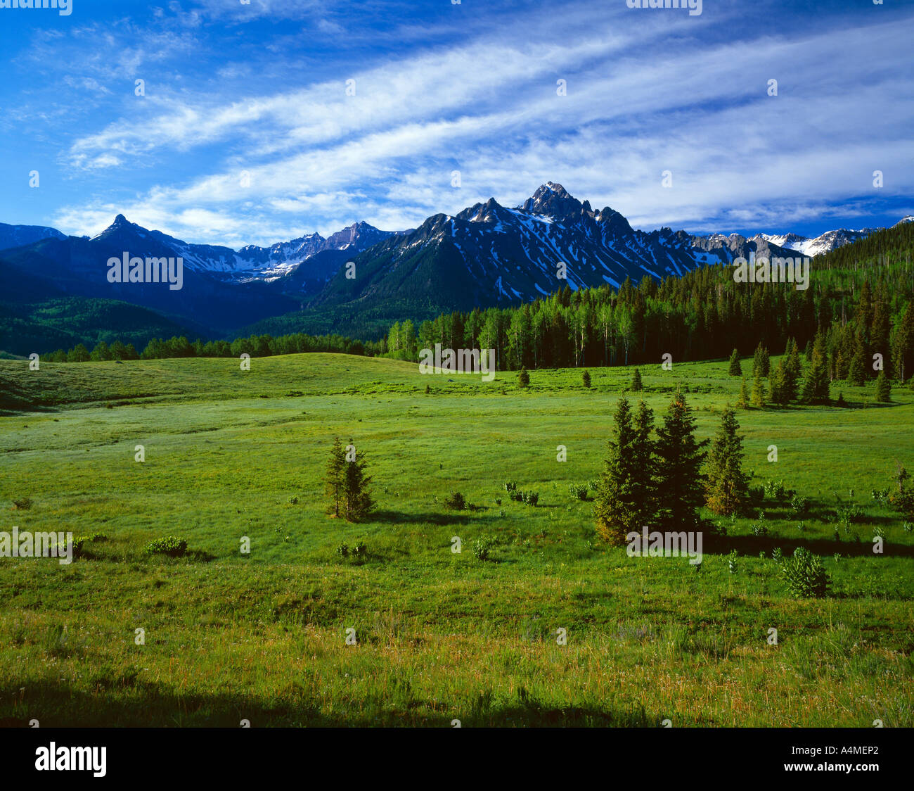 Mountain meadows, Mount Sneffels, Uncompahgre National Forest Stock ...