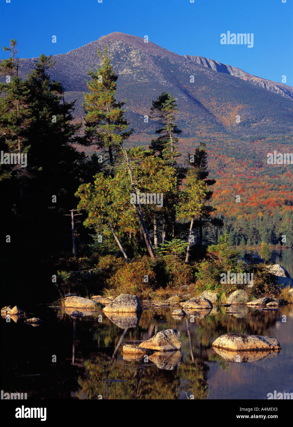 Shoreline trees and Mount Katahdin Sandy Stream Pond autumn Baxter ...