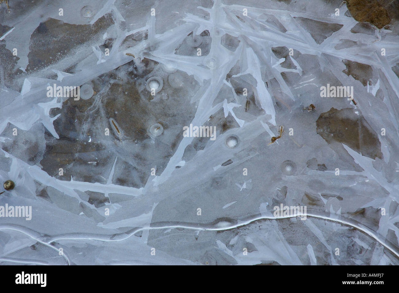Ice pattern. Frozen puddle with surface pattern Stock Photo - Alamy